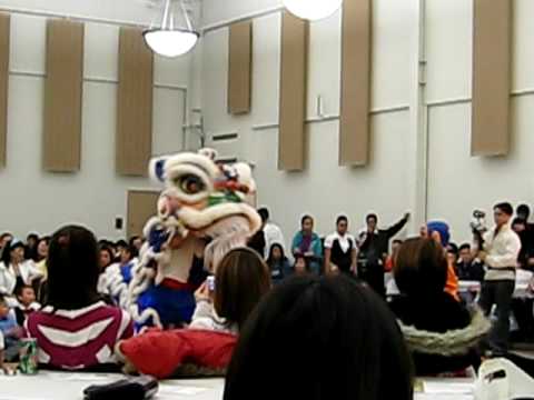 Dragon dance at Vietnamese New Year 09