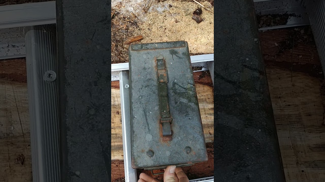 All my forestry tools