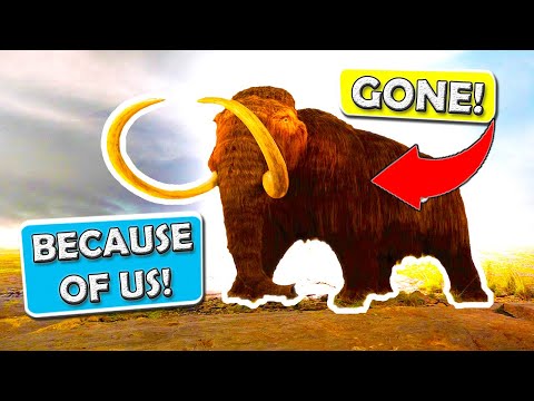 Humans caused the extinction of these animals