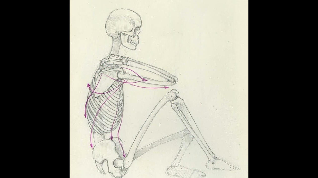 How to deconstruct the figure - from my book Dynamic Human Anatomy