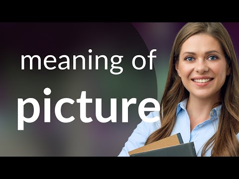 Picture • what is PICTURE definition