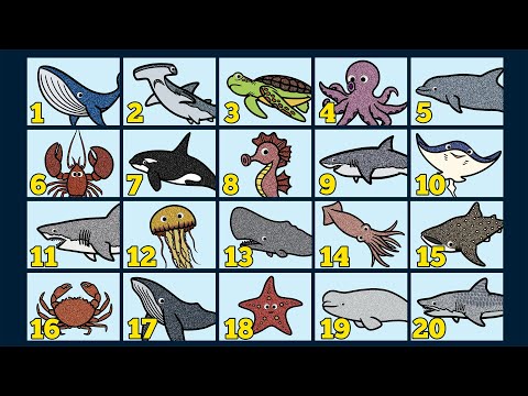 Counting 1 to 20 | Learn to Count Numbers | Learn Names of 20 Sea Animals with Glitter & Googly Eyes