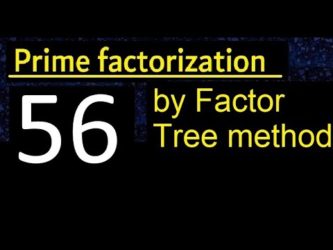 Prime factorization of 56 by factor tree method . Factor tree of 56 . How to find prime factors