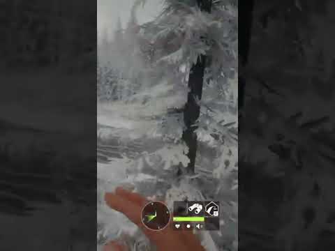 Snowy Showdown: Epic Bear Hunt in the Frozen Wilderness!