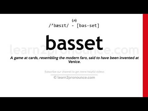 Pronunciation of Basset | Definition of Basset