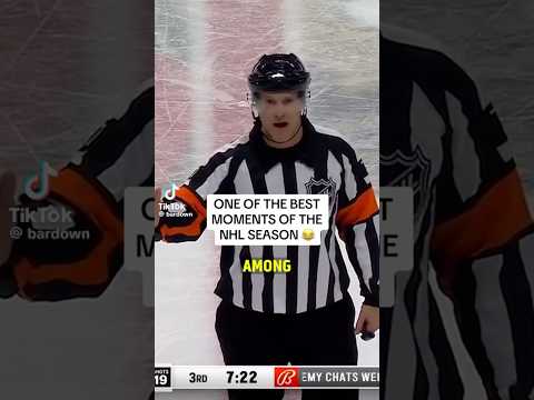 Every player on the ice has a 10 minute penalty #penalty #nhl #everyone #ice #ref