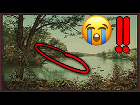 Where the Crawdads Sing - Narrated Wiki English