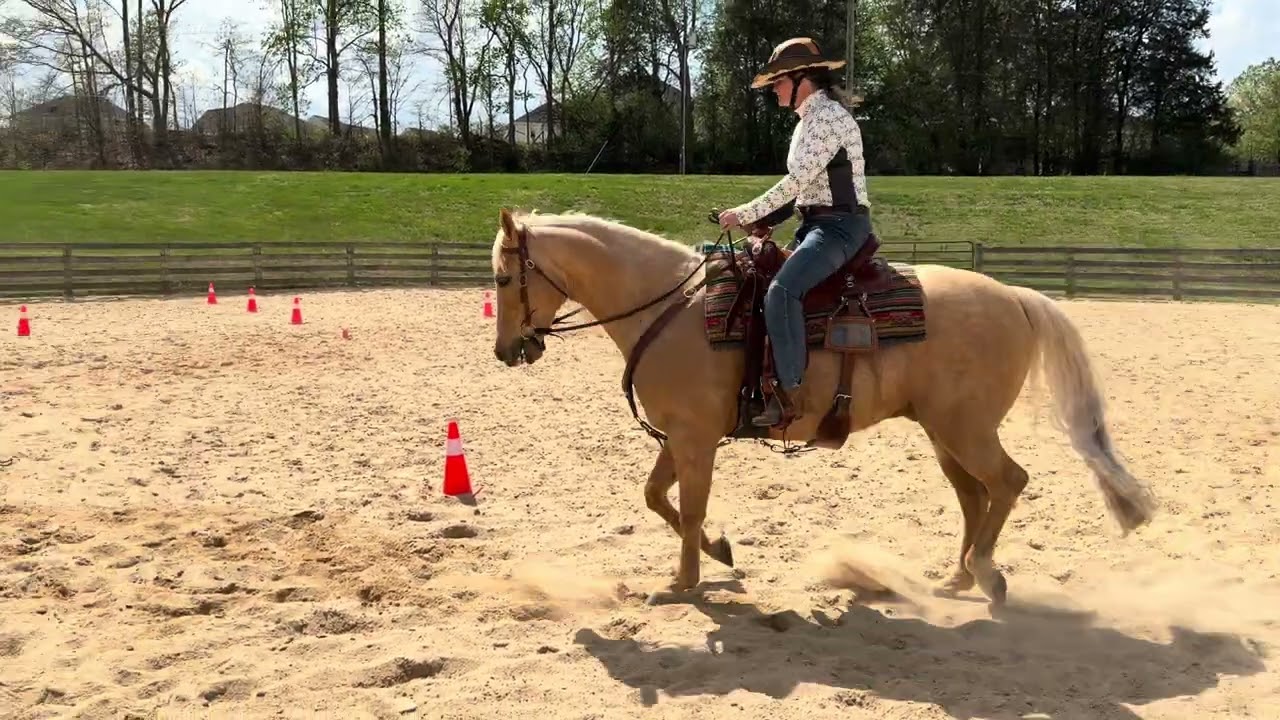 Nancy Brubaker & Levi. Next Level Virtual ETS due April 8 2026 