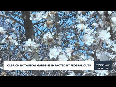 Olbrich Botanical Gardens impacted by federal cuts