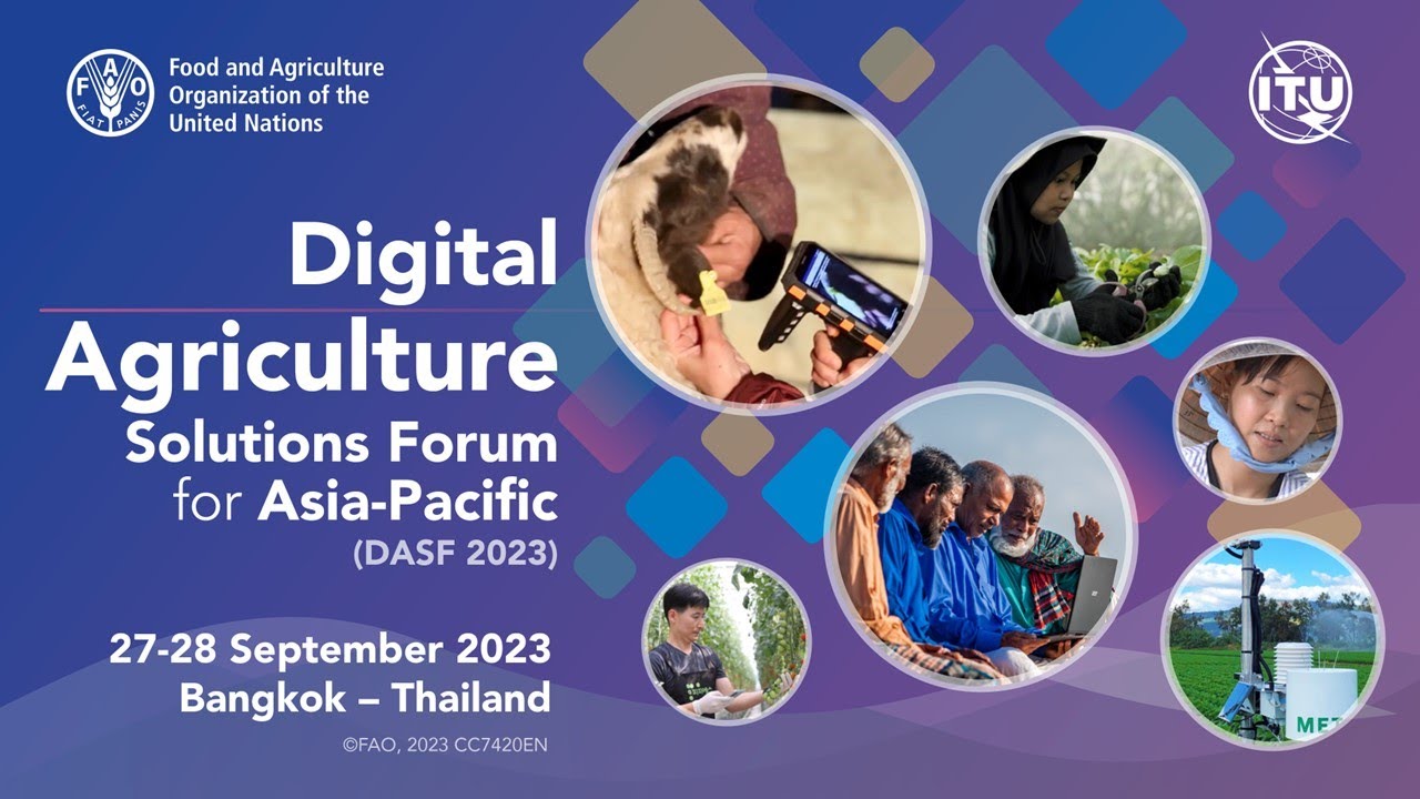 Digital Green develops AI chatbot for farmer advisory service - ComDevAsia