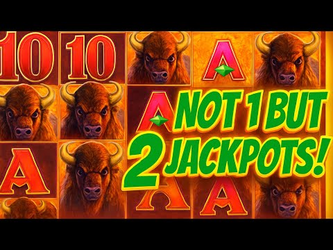 Hitting 2 Jackpots at the Casino! Full Screen Of Buffaloes!!!!