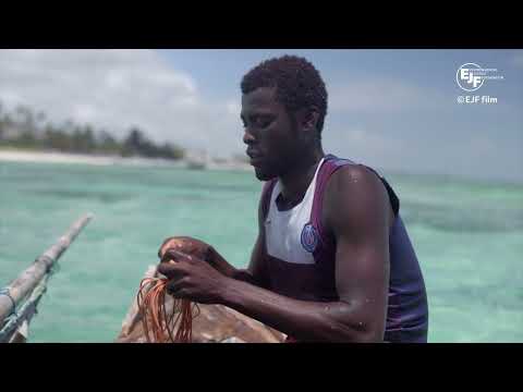 Ocean Transparency: Coalition for Fisheries Transparency