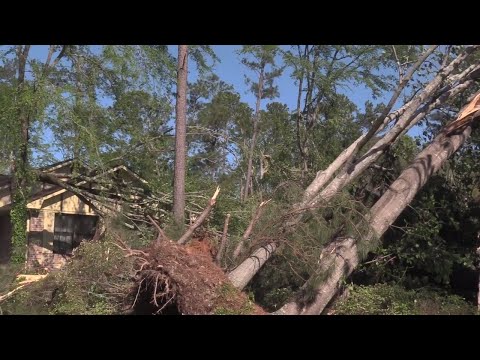 Here's a look at damage in North Macon after severe storms rolled in overnight
