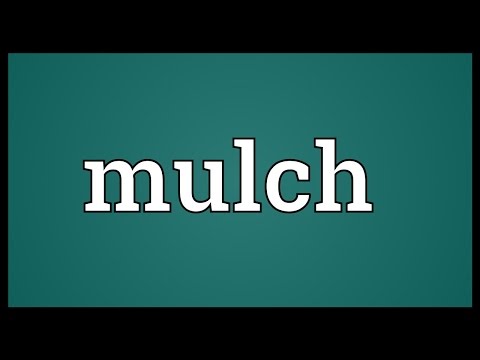 Mulch Meaning