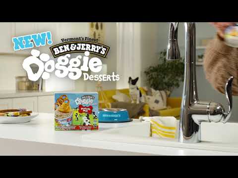 Ben & Jerry's Doggie Desserts | Good Human