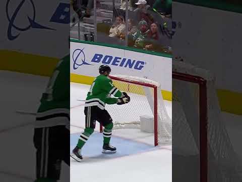Do NOT WATCH if you're a hockey stick π«£π