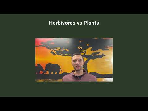 B4.2: Ecological Niches