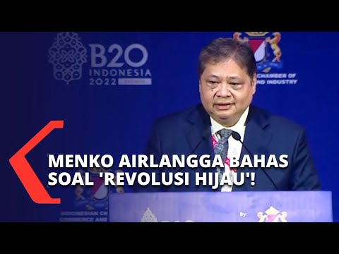 Fokus pada Keberlanjutan & Kelestarian Lingkungan, Menko Airlangga Bahas soal Revolusi Hijau di B20!