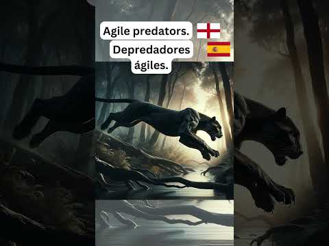 Saving Panthers: A Bilingual Guide #english #learn #spanish #learning #youtubeshorts #ytshorts #yt
