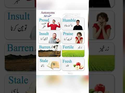 Roze Marra Mein Istemaal Hone Wale Antonyms | Common Opposite Words in English
