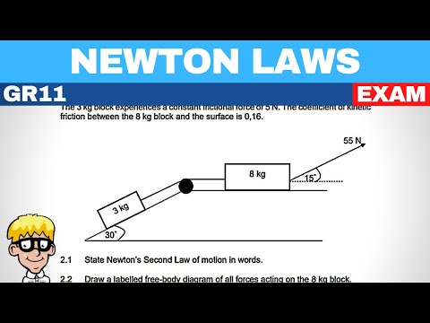 Newton laws exam questions