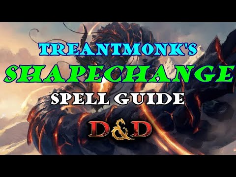 Shapechange Spell Guide: 5e