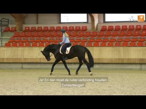 KNHS Tips van de Top - Ontspanning tijdens het rijden