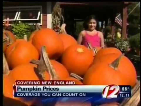 Pumpkin Shortages Mean Price Hikes