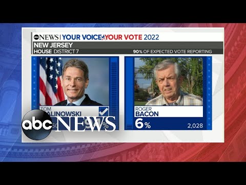 Key takeaways from primary election results | ABCNL
