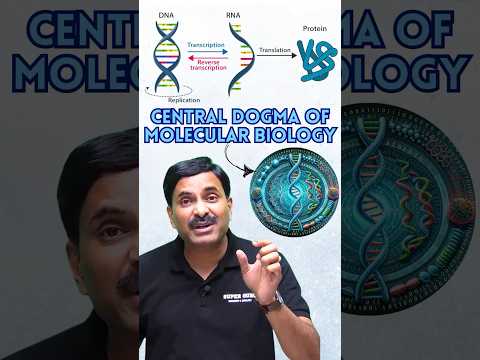 Let’s Study Central Dogma of Molecular Biology ‼️ #molecularbiology #neet #shortsfeed