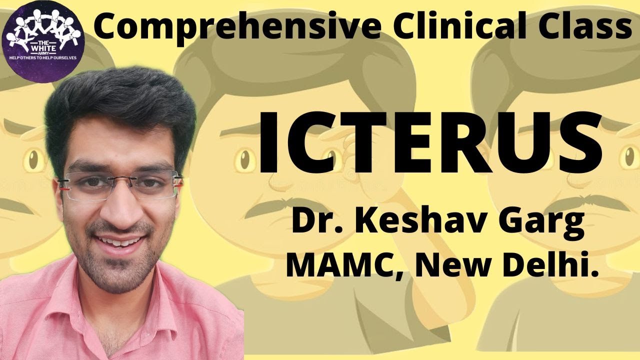 Understanding Icterus: Causes, Diagnosis, and Differentiation of ...