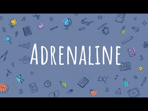 Adrenaline meaning in Urdu/Hindi | Word of the Day | English Vocabulary #shorts