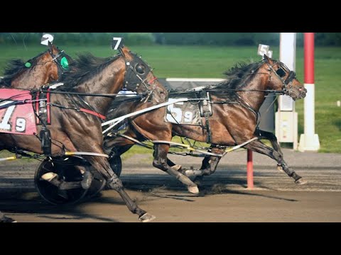 2025 Graduate Series 4YO Open Pace 3rd Leg Meadowlands NJ : Nijinsky (1:48:4)