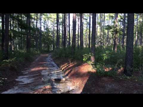 Outdoor Scenes while hunting in North Carolina