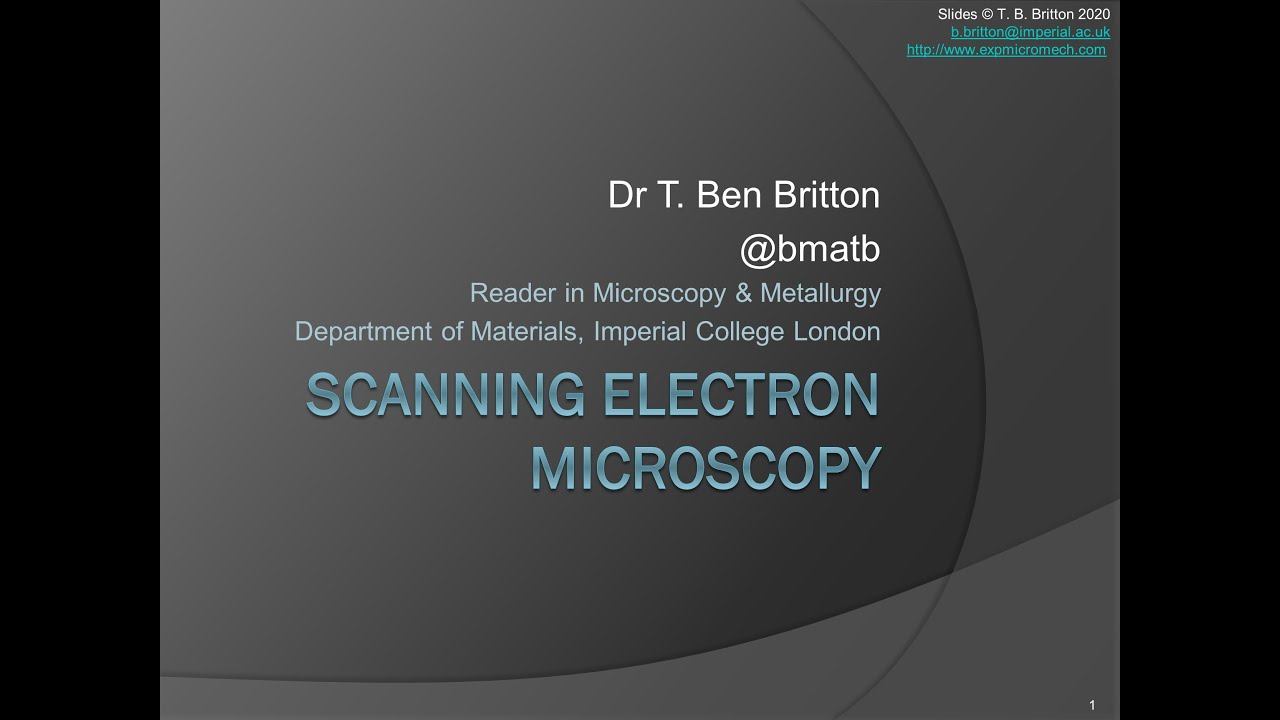 Introduction to Scanning Electron Microscopy
