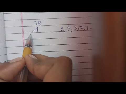 factor tree of 38