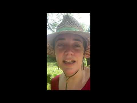 Creating Significant Learning Environments – an Introduction – Blythe ...