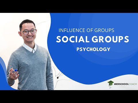 Social Groups and Influence