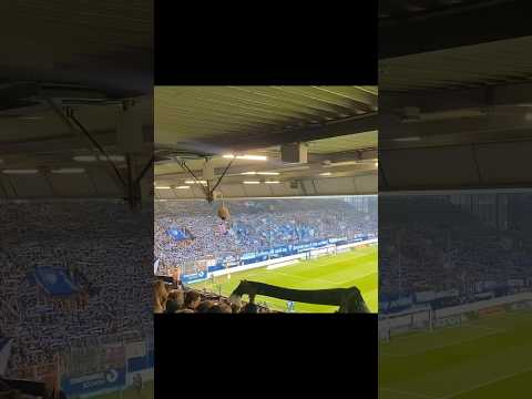 BOCHUM-Hoffenheim, Bundesliga 🇩🇪, 26/04/24