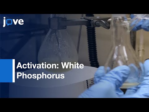 Preparation & Use-Carbonyl-Decorated Carbenes In Activation Of White Phosphorus l Protocol Preview
