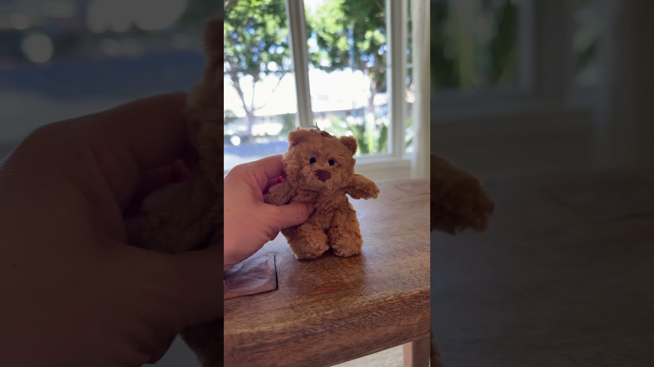 Jelly Cat Teddy keychain! #jellycat #keychain #collectables