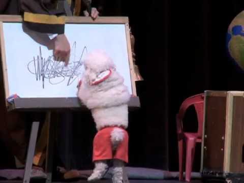 POPOVICH live promo 2011