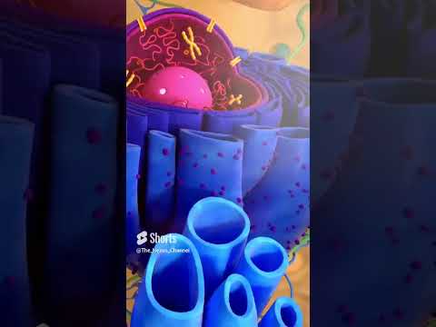 Principles of Biotechnology: Revolutionizing the Future | Nexus #shorts #amazingfacts #nexus