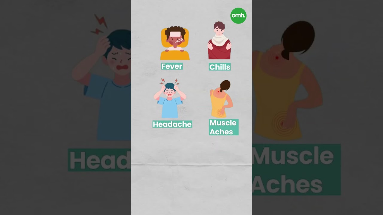 Spotting the Signs Common Symptoms of Malaria You Need to Know I World ...