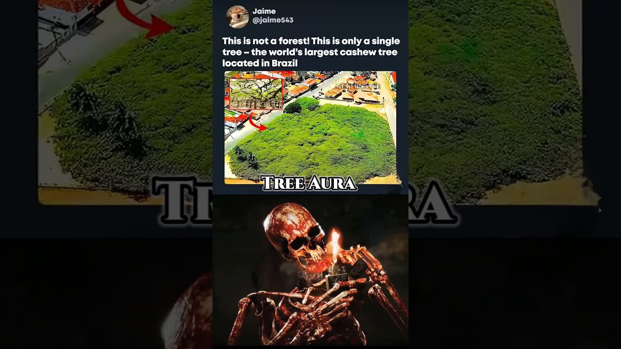 This is NOT a Forest #relatable #flyxo