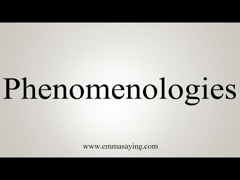How To Say Phenomenologies