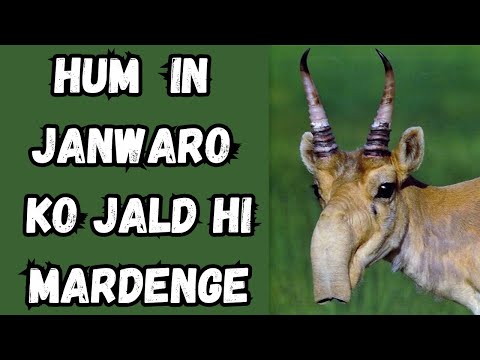 Dekho is duniya ke kuch Endangered animals #endangeredspecies #animals #hindi #vilupt #viluptjanwar