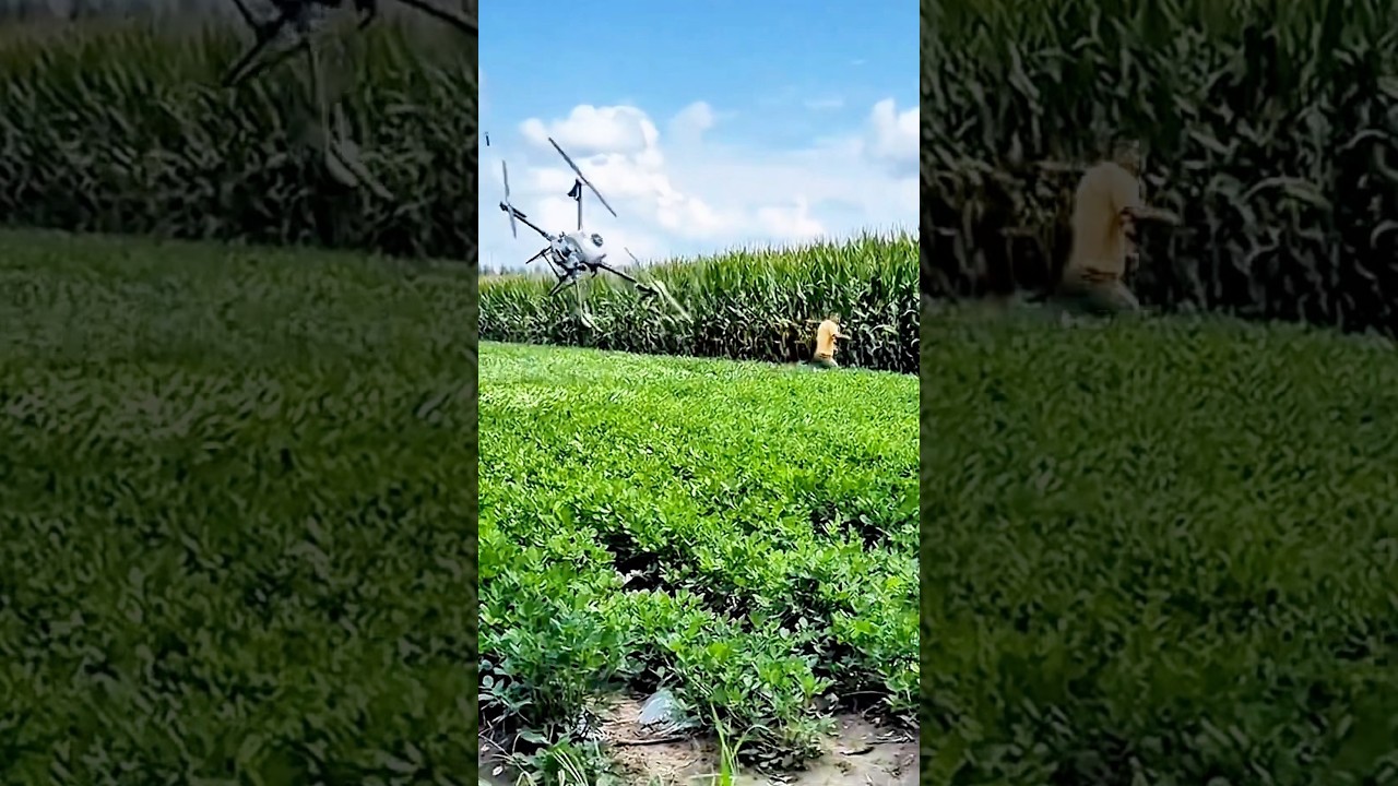 Drone Down! Farmer Mistakes Sprayer for Flying Monster!