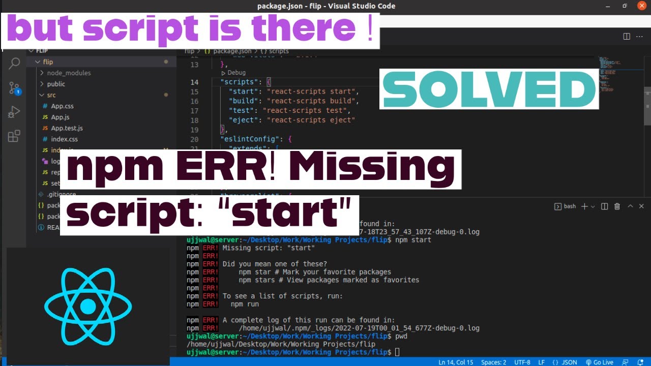 npm ERR! Missing script : 