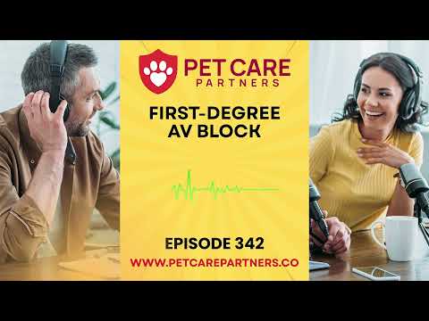 EP 342: First-Degree AV Block in Pets: Pet Care Partners Podcast